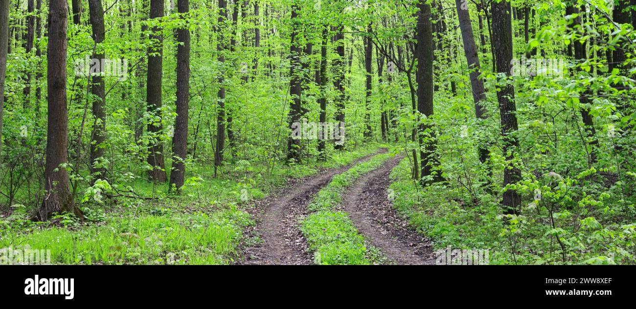 Rain soaked fields hi-res stock photography and images - Alamy
