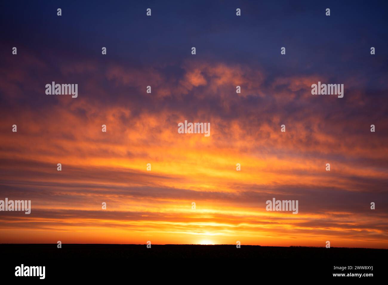 Sunset Splendor: A Spectacular Display of Nature's Beauty Stock Photo ...