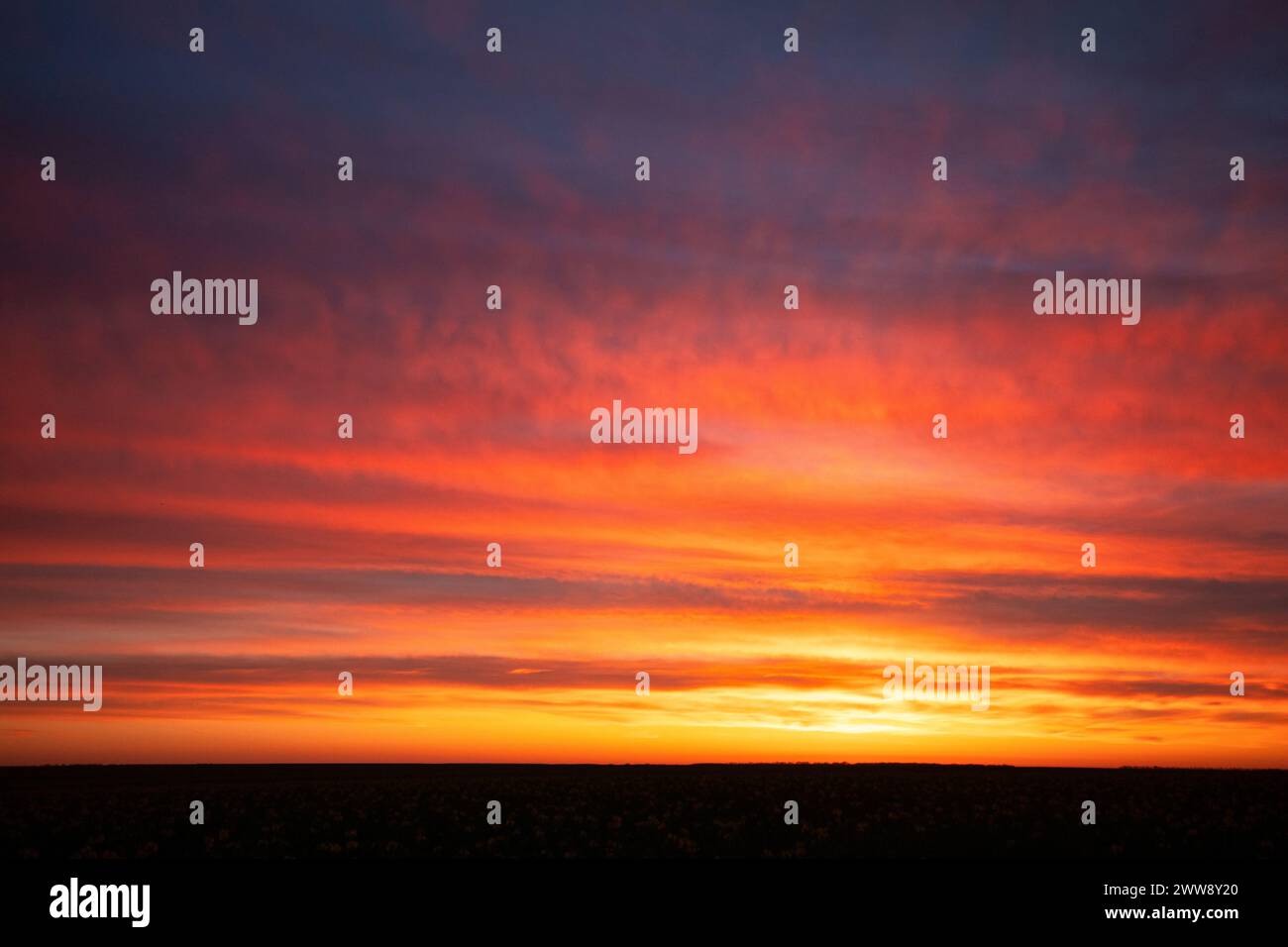 Sunset Reverie: Lost in the Dreamy Atmosphere of Twilight Stock Photo ...