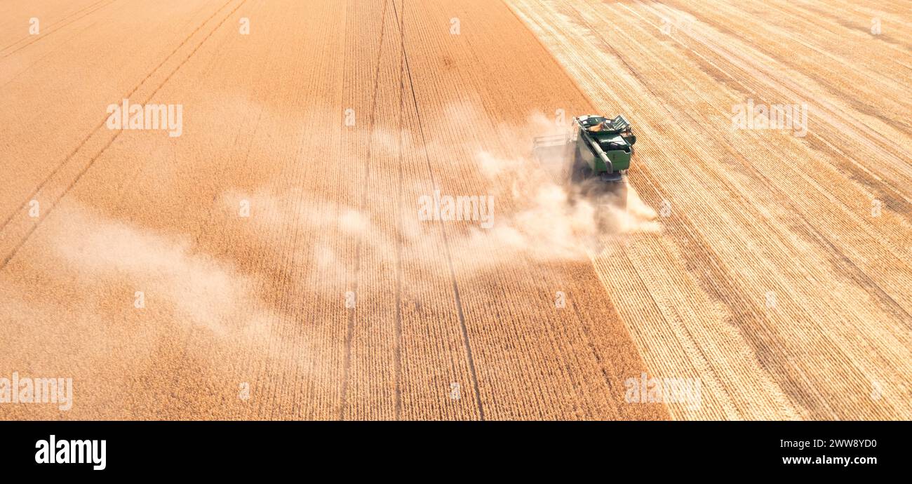 Wheat Waves: The Combine Harvests the Fields of Gold Stock Photo - Alamy