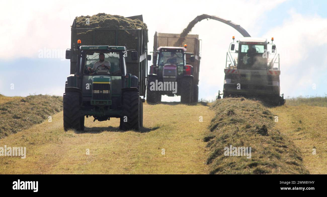 23/07/12..A team of three tractors and trailers join a self-propelled ...