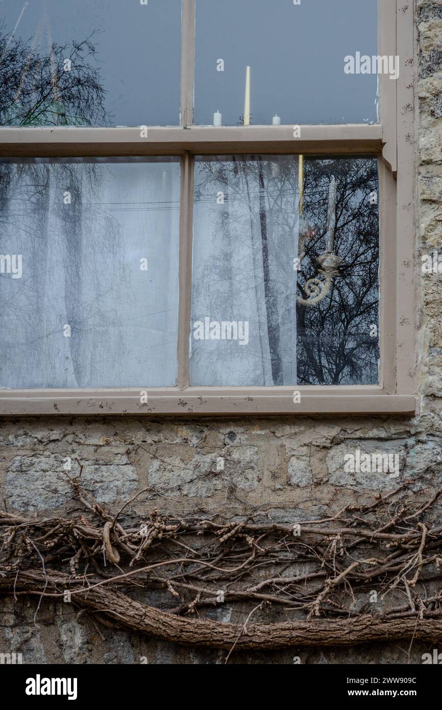 Atmospheric old grey painted sash window with white curtain and an old ...