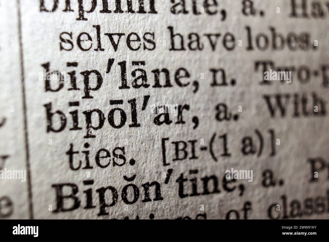 Word bipolar on dictionary page, macro close-up Stock Photo - Alamy