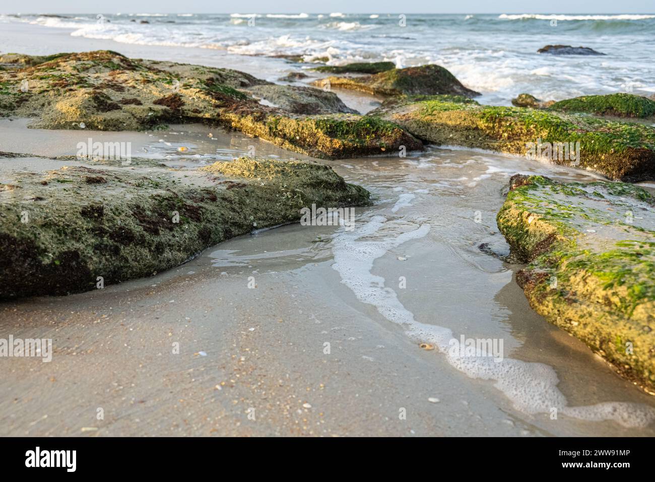 Coquina rocks along the shoreline at Washington Oaks Gardens State Park ...