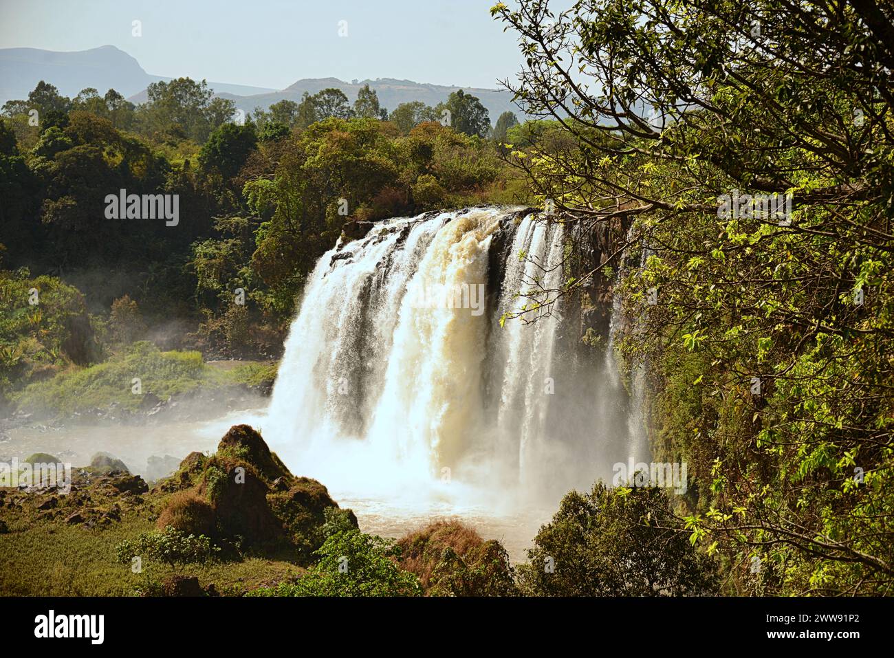 The Blue Nile Falls are waterfalls located in Ethiopia. Known as Tis ...
