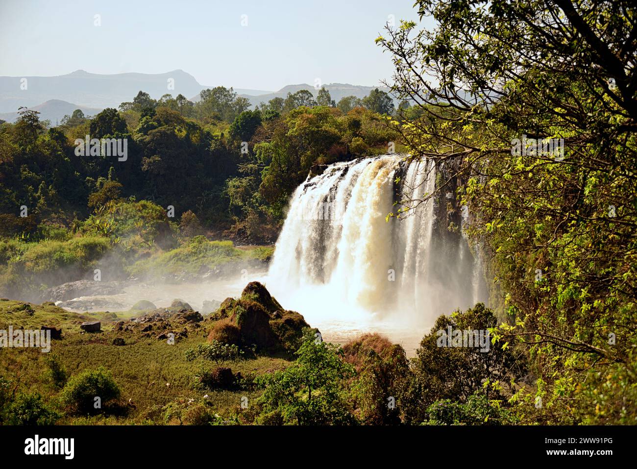 The Blue Nile Falls are waterfalls located in Ethiopia. Known as Tis ...