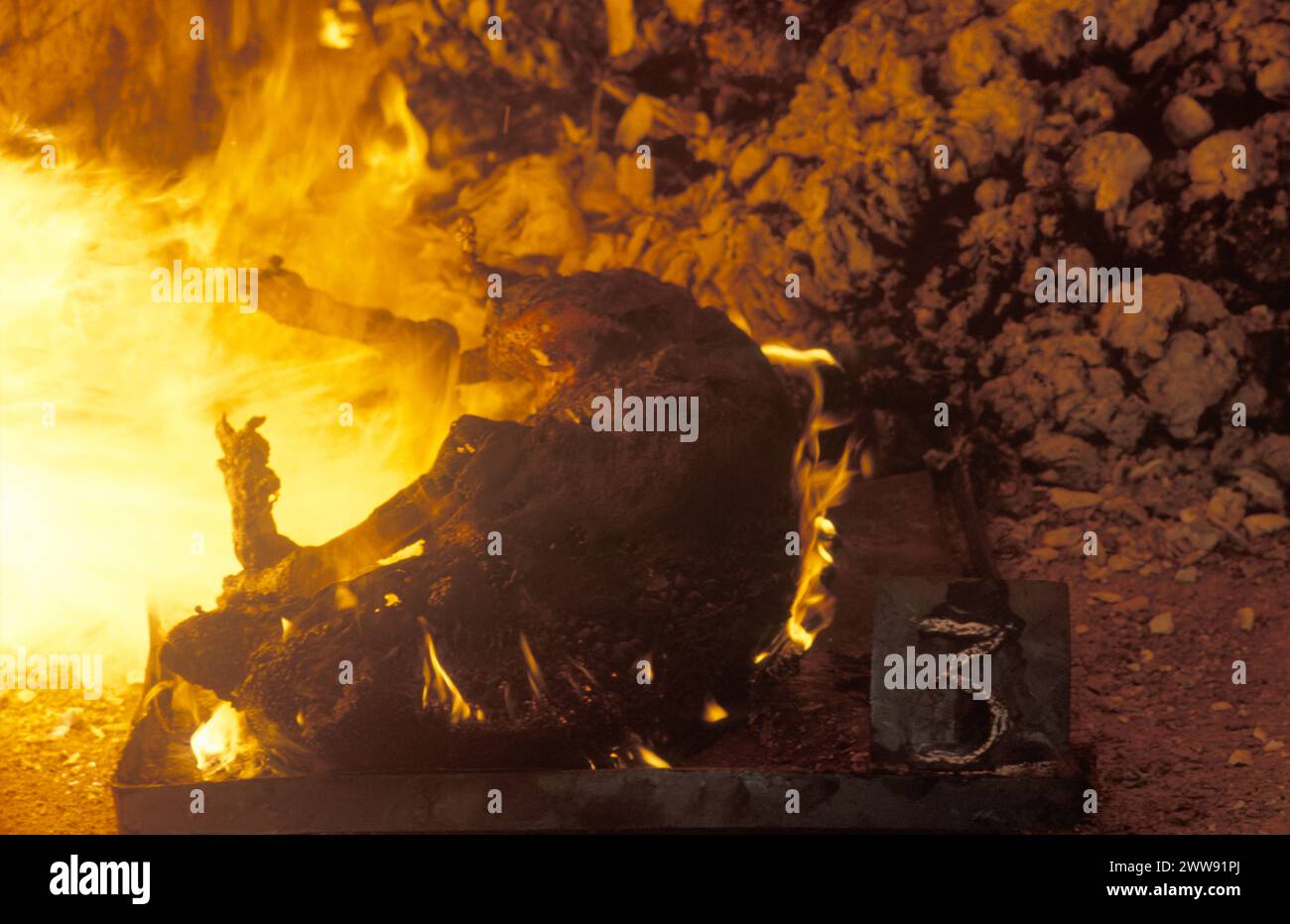 Dog cremated hi-res stock photography and images - Alamy