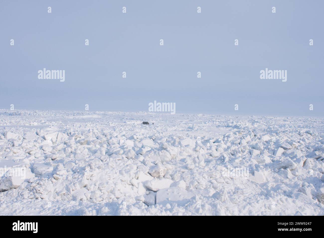 Hopson One spring whaling camp on a flat pan of ice over the frozen ...