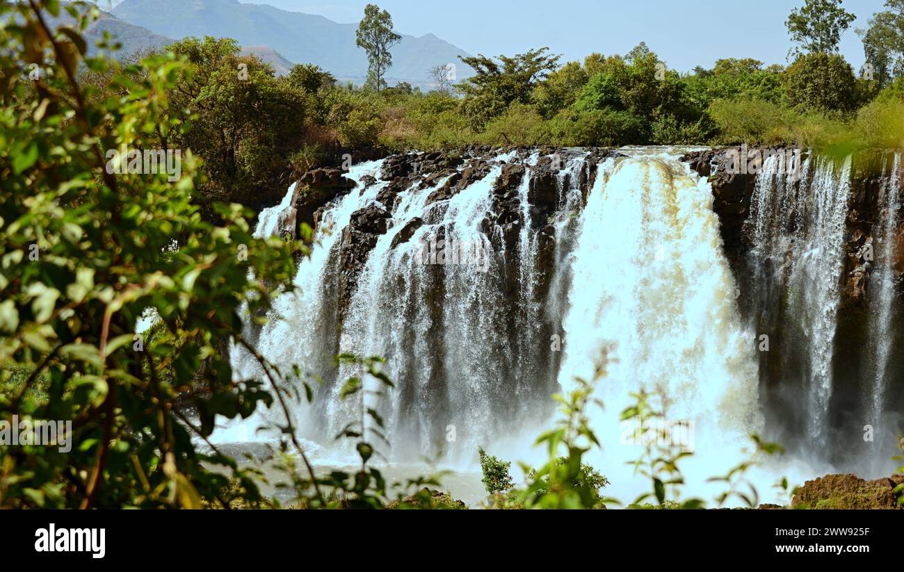 The Blue Nile Falls are waterfalls located in Ethiopia. Known as Tis ...