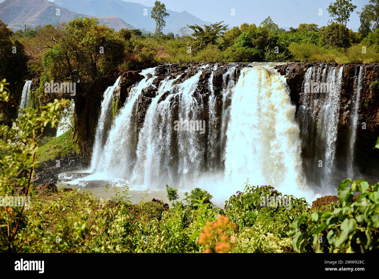 The Blue Nile Falls are waterfalls located in Ethiopia. Known as Tis ...
