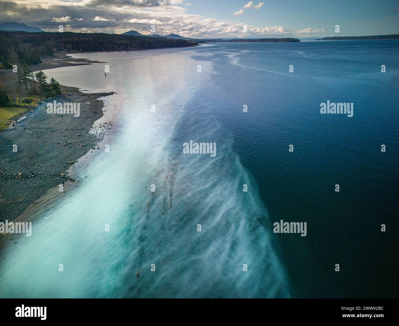 Milt spawn herring hi-res stock photography and images - Alamy