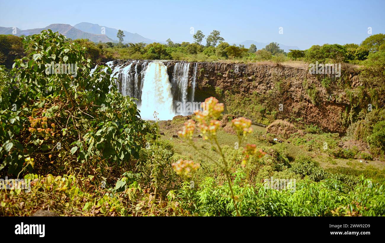 The Blue Nile Falls are waterfalls located in Ethiopia. Known as Tis ...