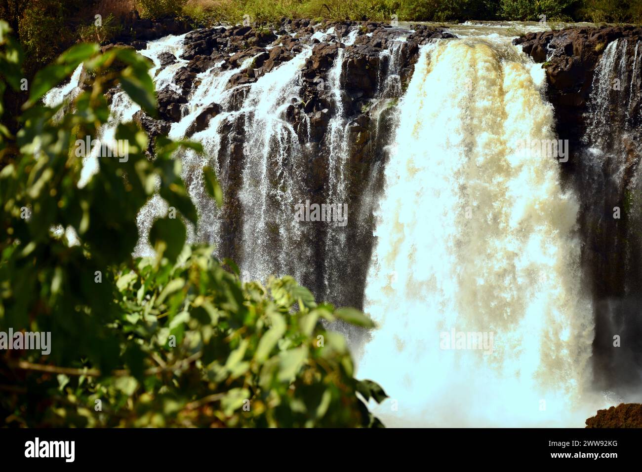 The Blue Nile Falls are waterfalls located in Ethiopia. Known as Tis ...