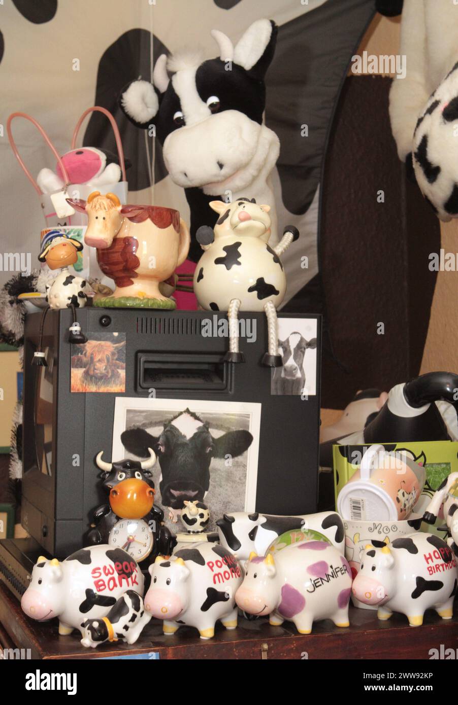 Muriel Edwin, 62, with her cow collection in Hulland Ward, Derbyshire ...
