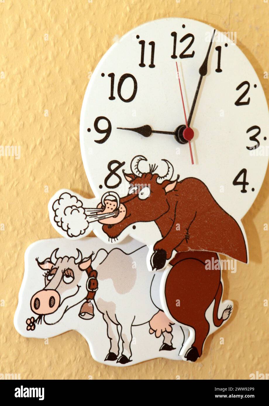 Muriel Edwin, 62, with her cow collection in Hulland Ward, Derbyshire ...