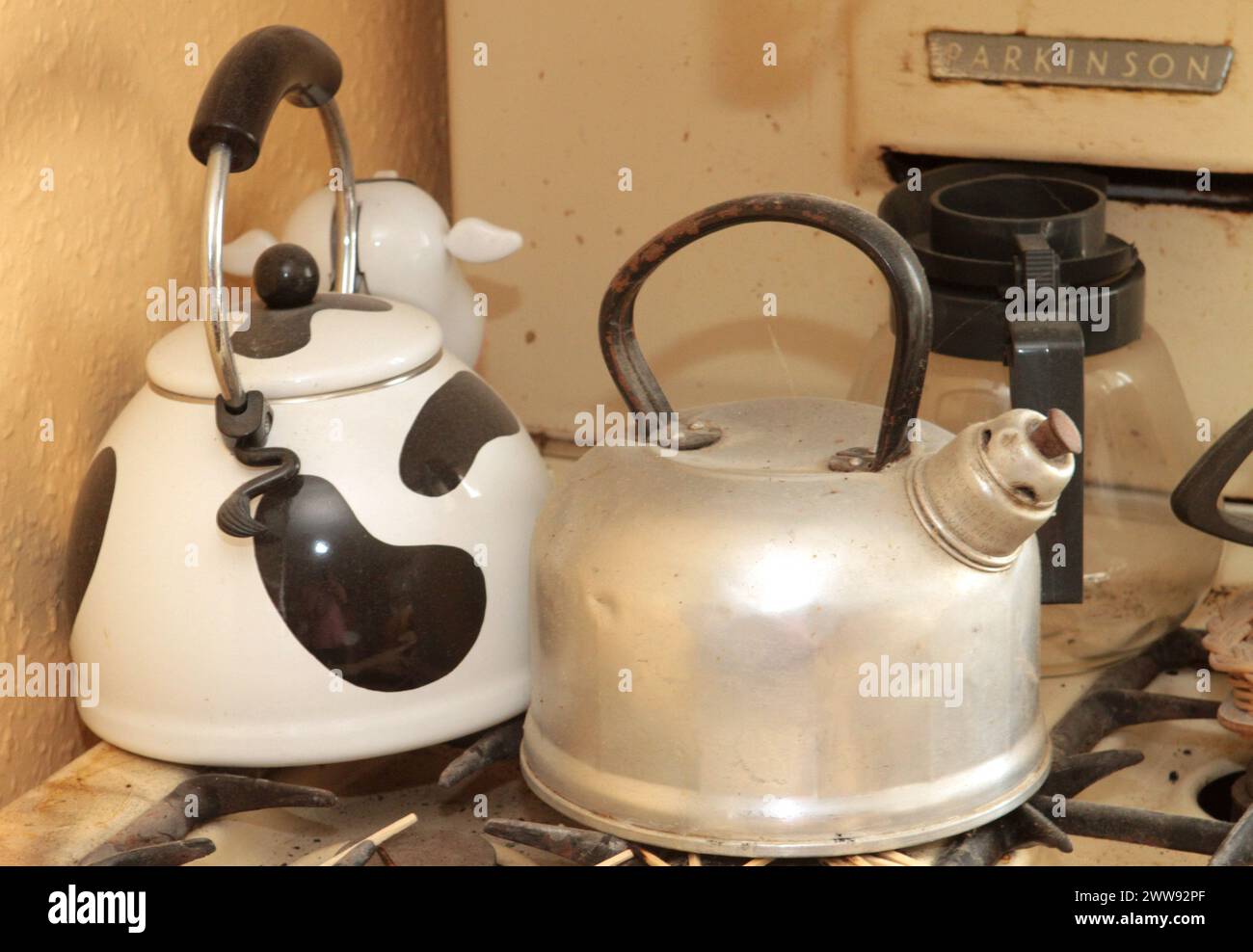 Muriel Edwin, 62, with her cow collection in Hulland Ward, Derbyshire ...