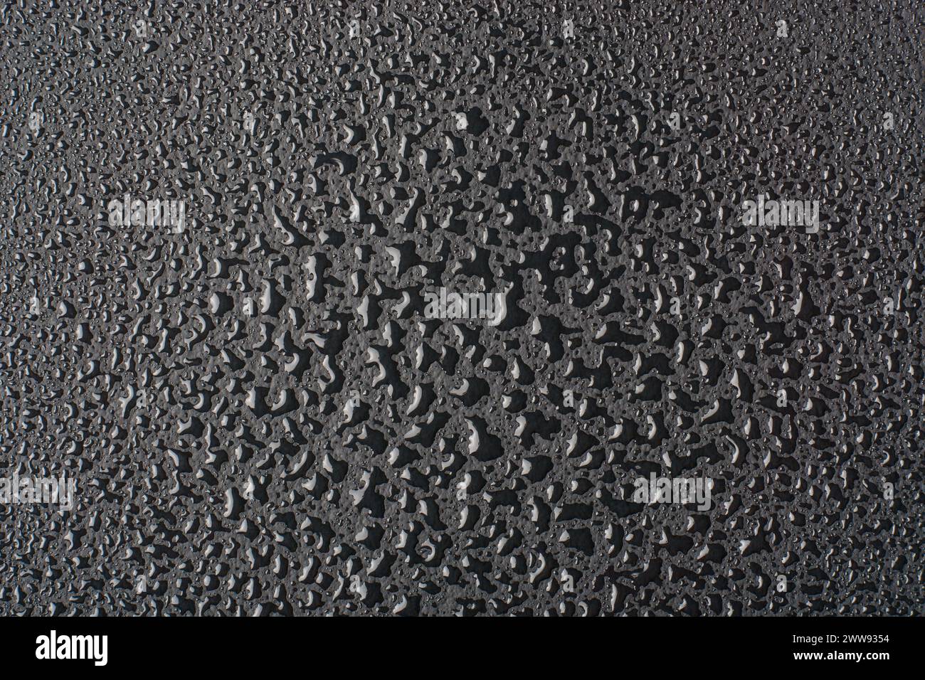 water droplets on black surface, abstract texture of wet drops ...
