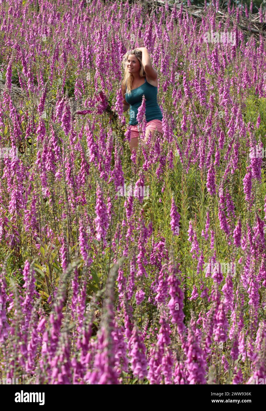 After the sunshin hi-res stock photography and images - Alamy