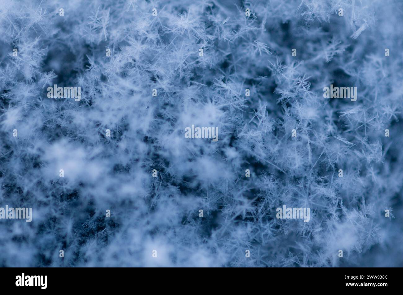 snow flacksof rough pack ice over the Chukchi sea in springtime, off ...