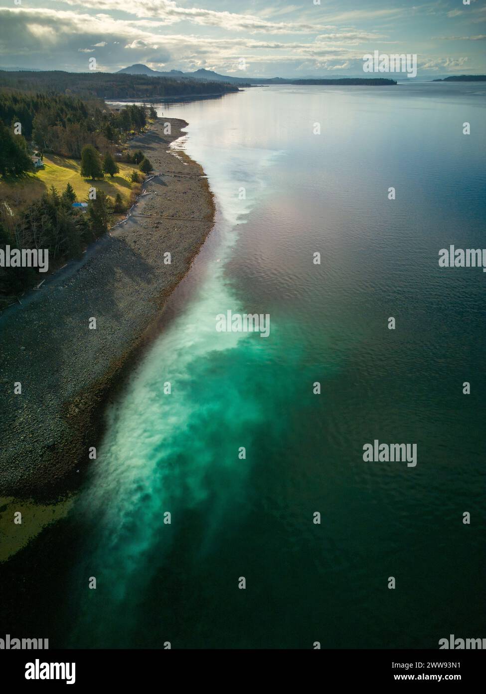 Milt spawn herring hi-res stock photography and images - Alamy