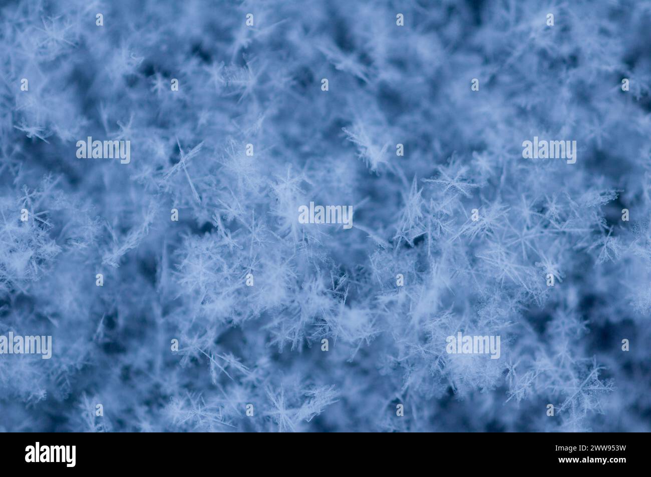 snow flacksof rough pack ice over the Chukchi sea in springtime, off ...
