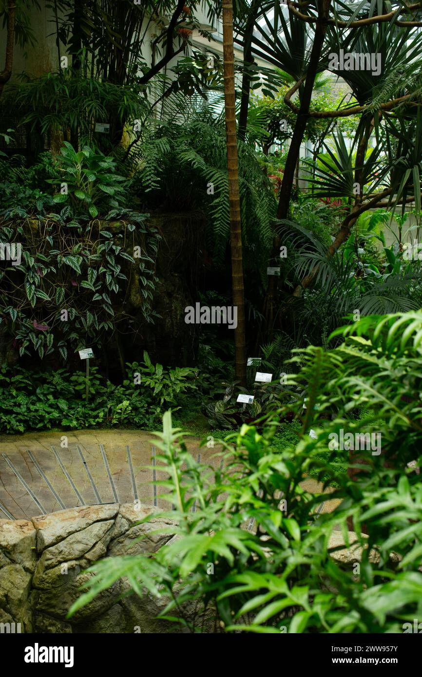The path curves around the Forgate conservatory's humid plant house ...