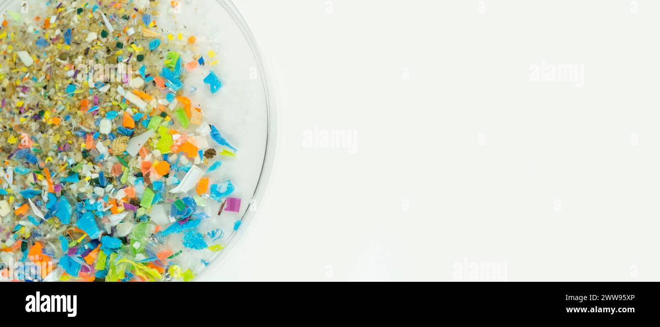 Macro shot of microplastics composition inside a lab petri dish ...