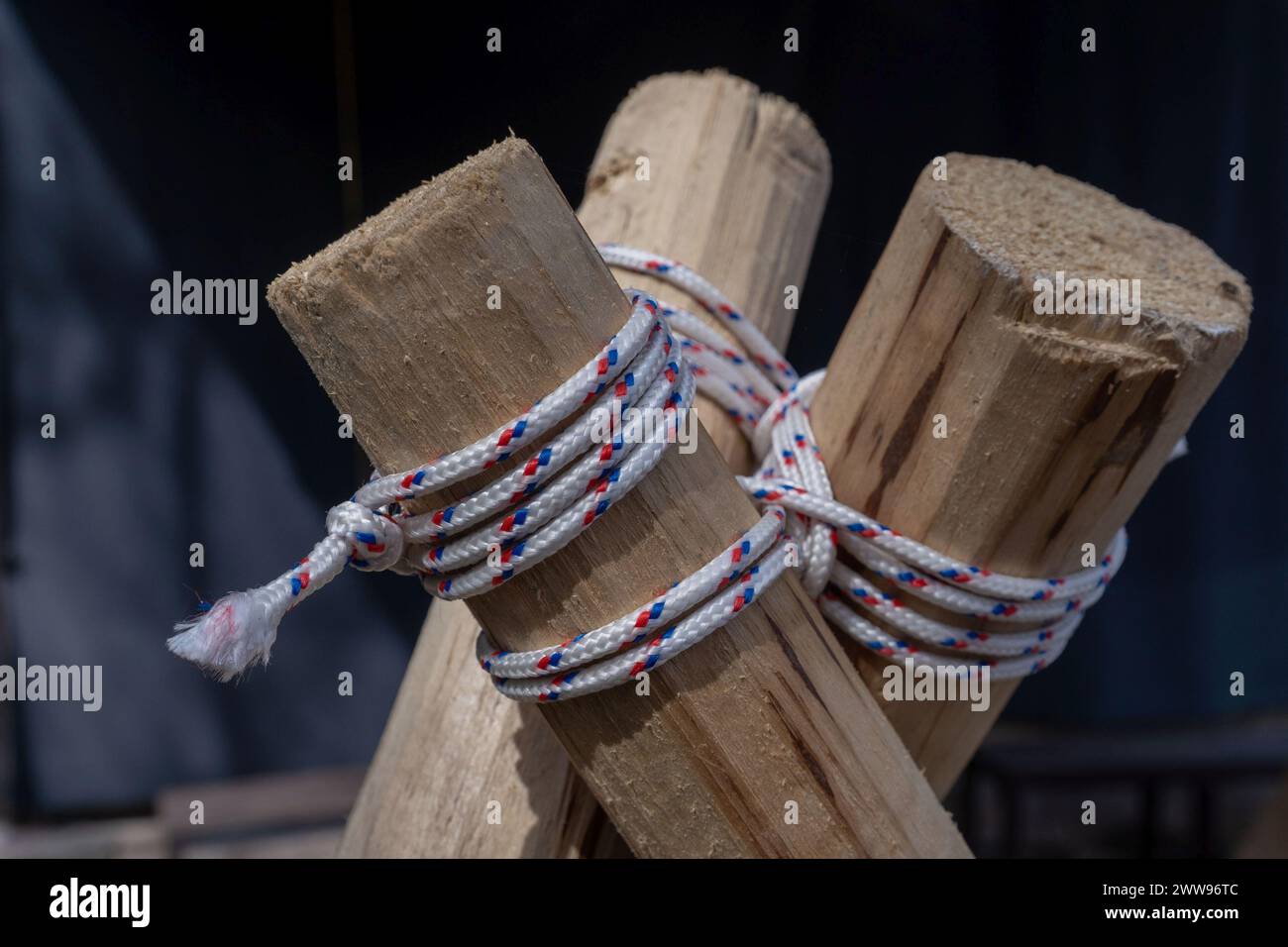 Bound unity. Timber tied with rope knot. Black sheet as background ...
