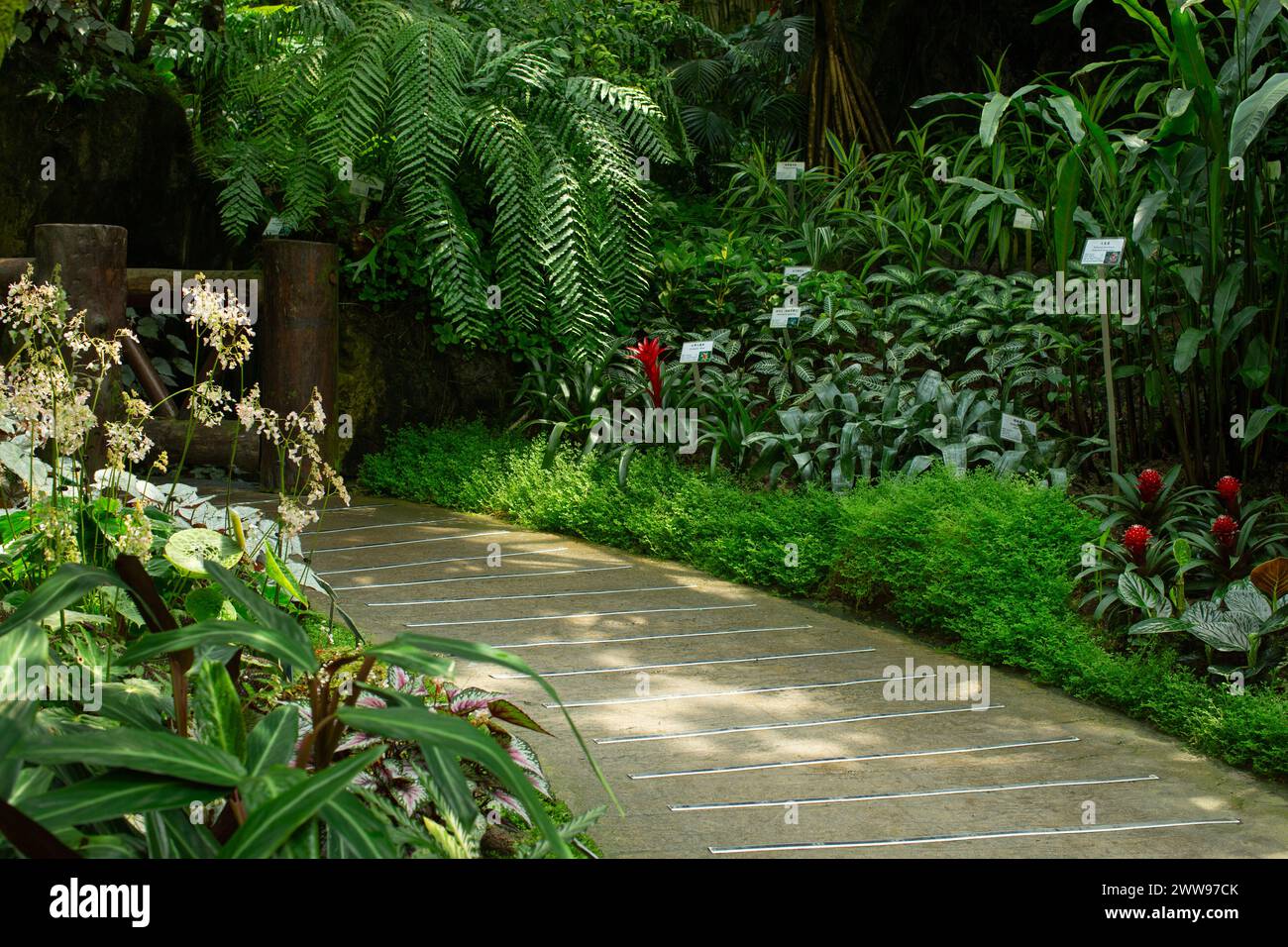 A path leading through the Humid Plant House in Forgate Conservatory ...
