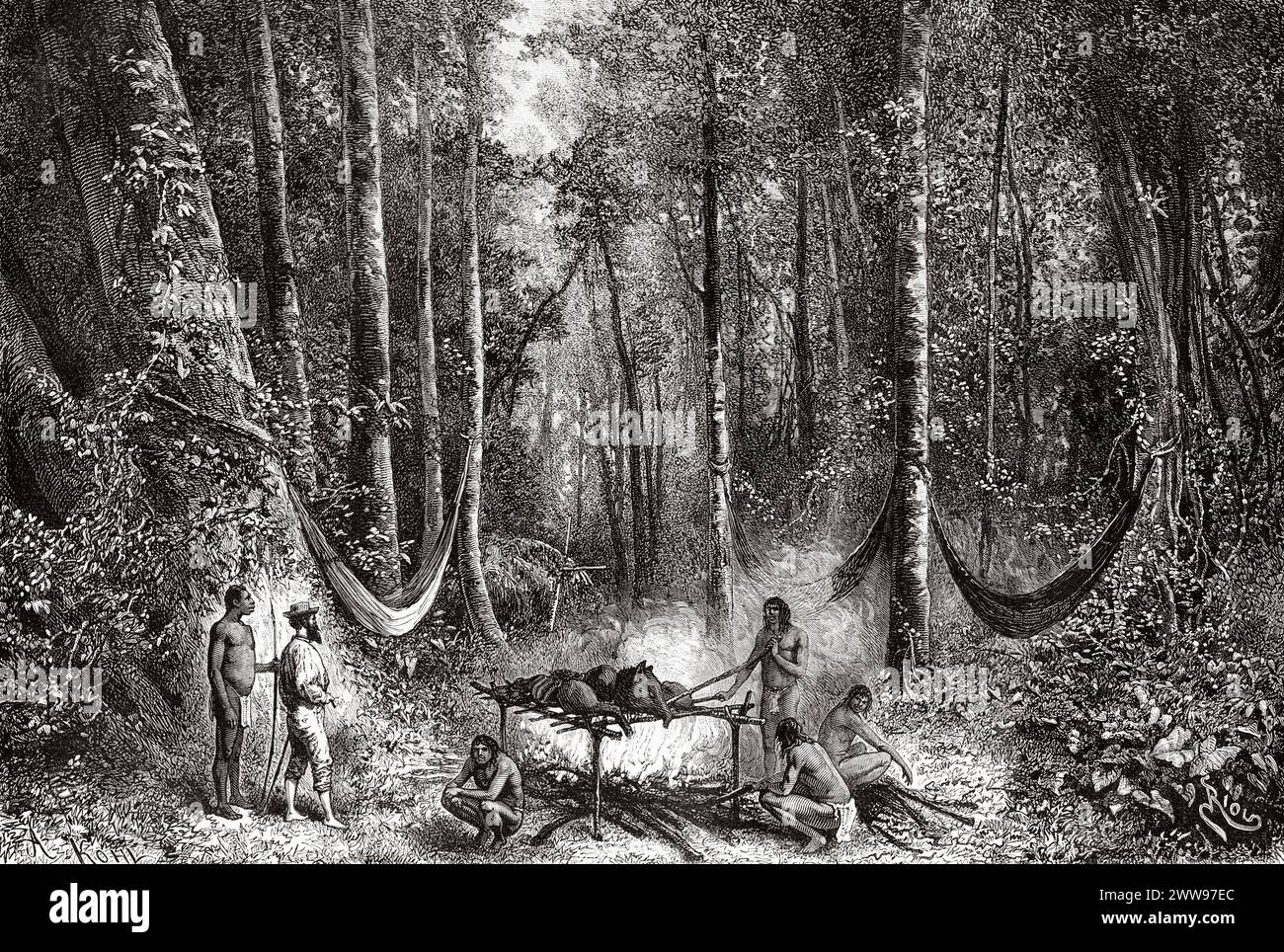 Natives roasting a tapir in the jungle, French Guiana, South America ...