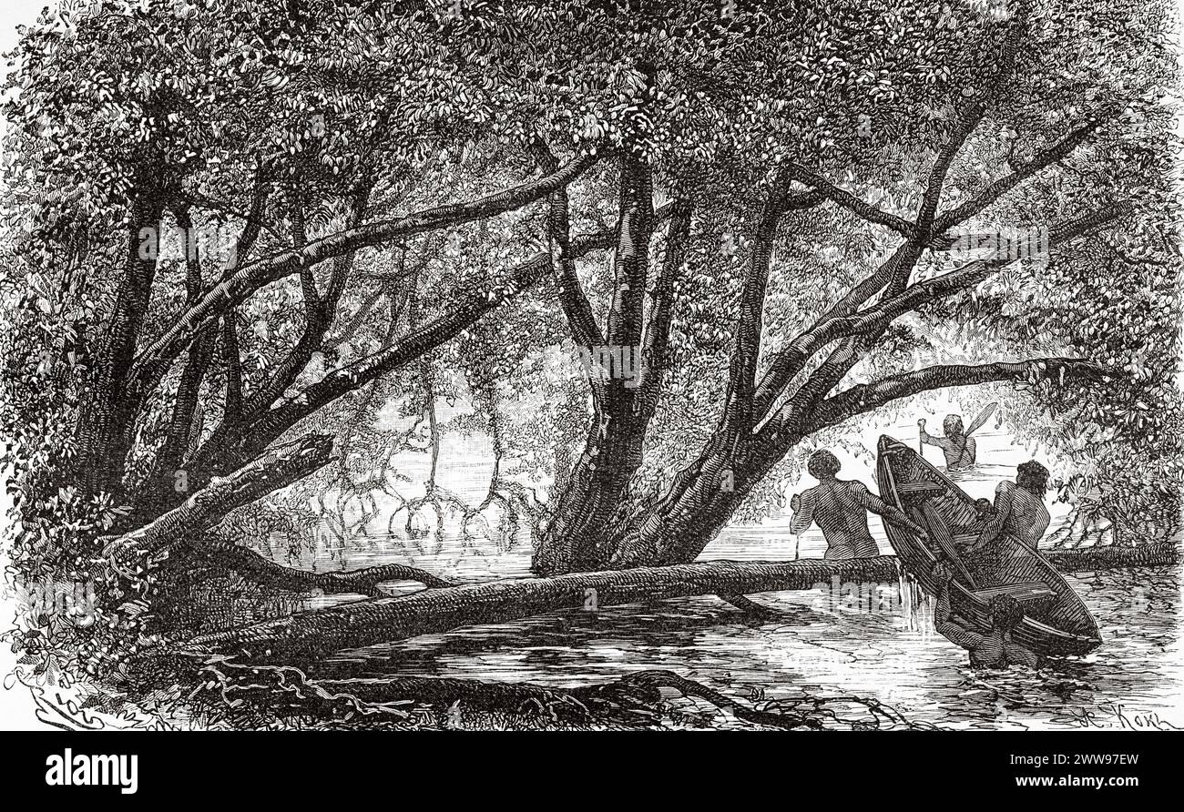 Indigenous people navigating the Rouapir River, French Guiana, South ...