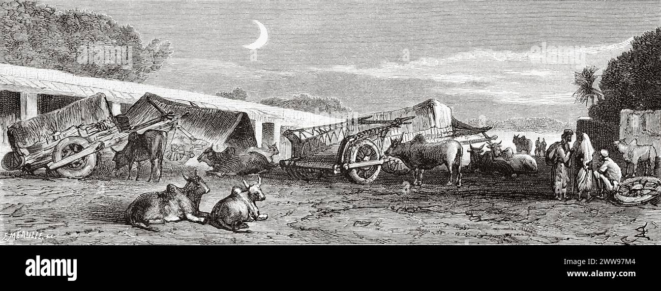 Caravanserai of ox carts in Jhelum, Pakistan. Asia. Journey to Murree ...