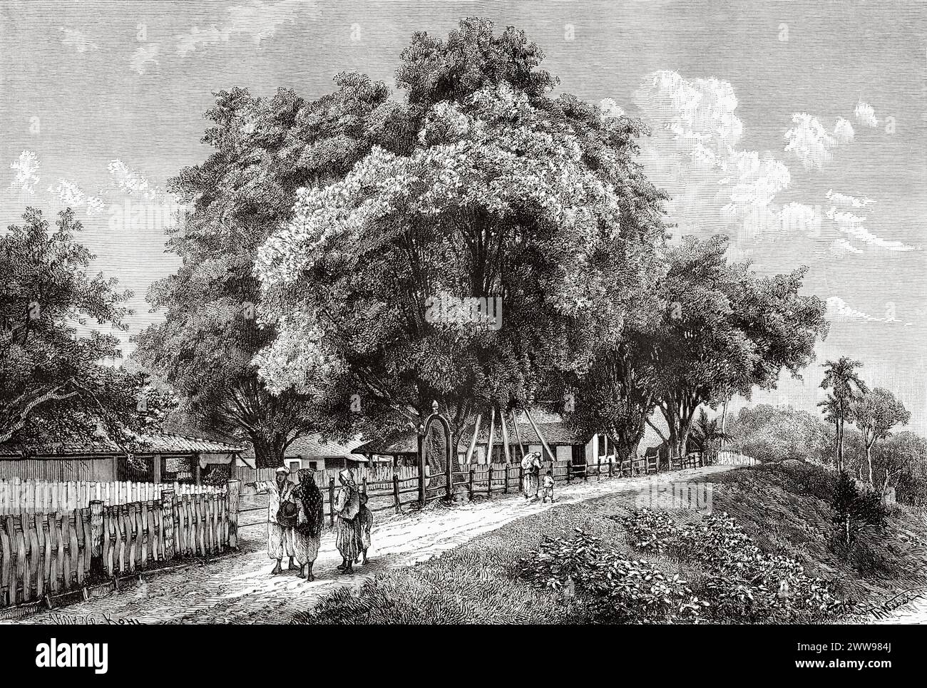 Controller's residence in Jambi, Sumatra Island. Indonesia. Drawing by ...