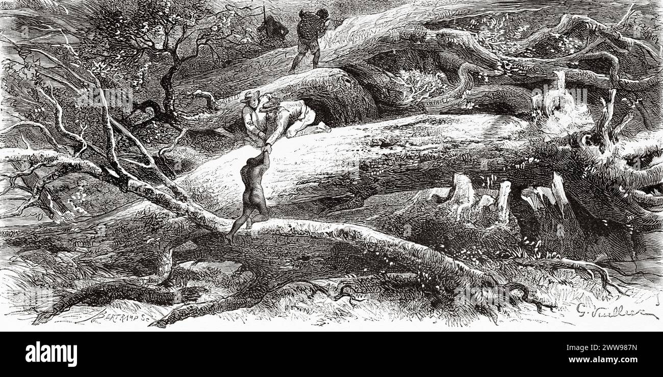 Difficulties of the expedition, Republic of Panama. Central America ...