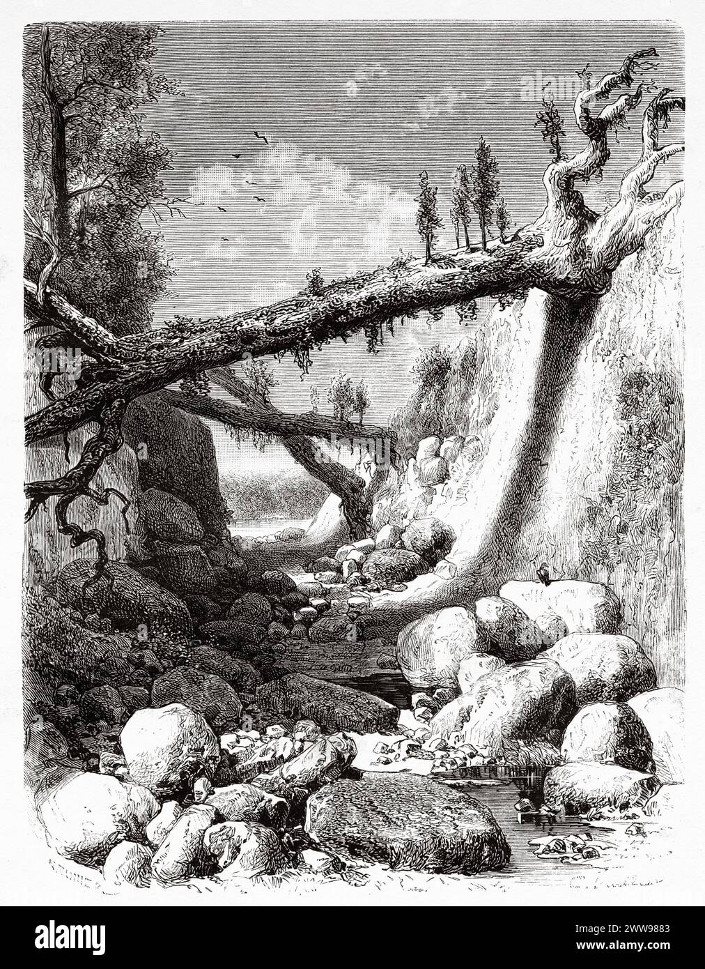 Las Trancas, Republic of Panama. Central America. Drawing by Gaston ...