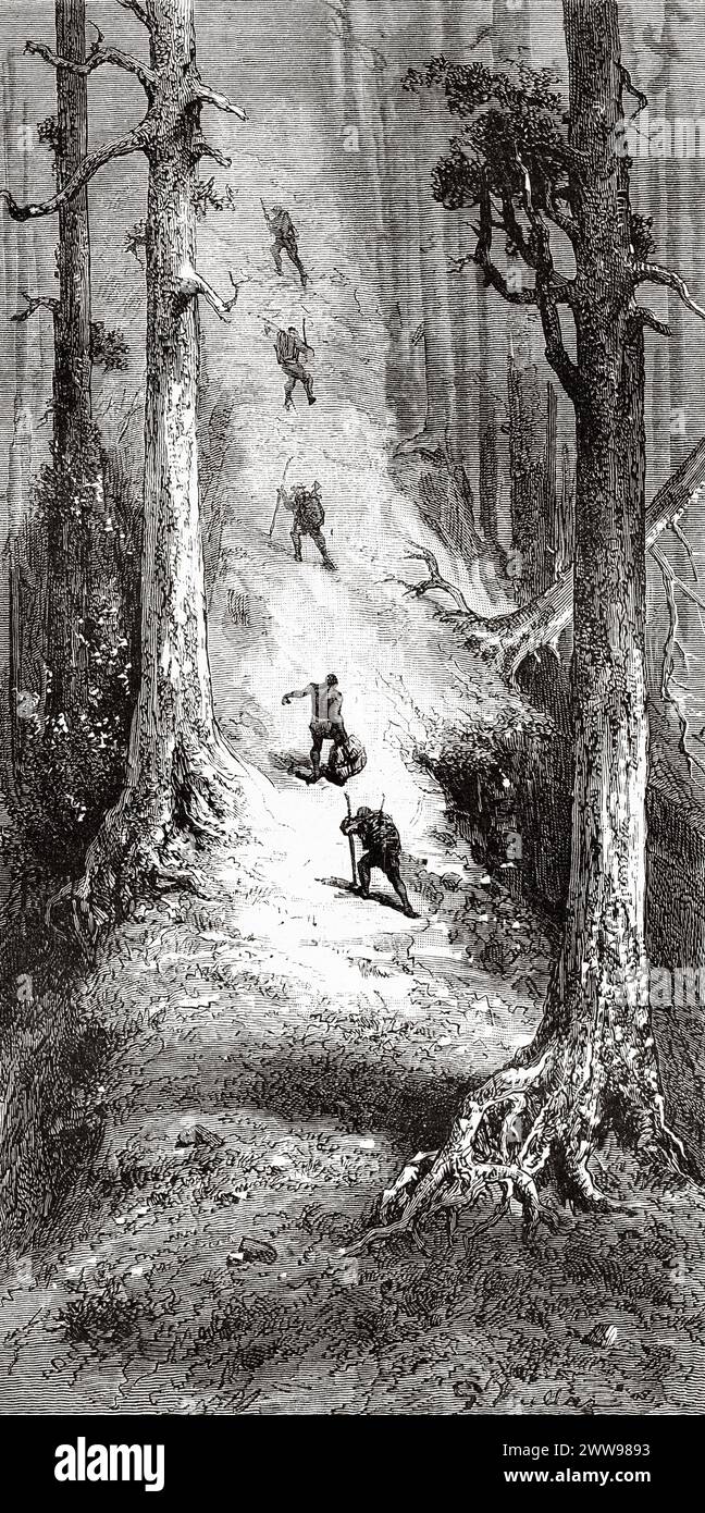 Ascension to the Central mountain range, Republic of Panama. Central ...