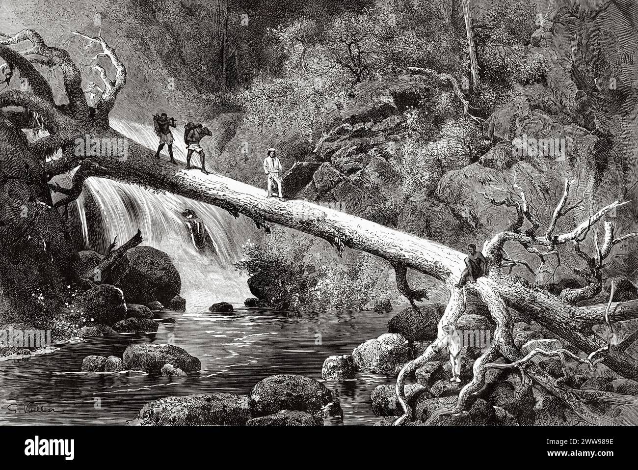 Passing a river on the route to Avanti, Republic of Panama. Central ...