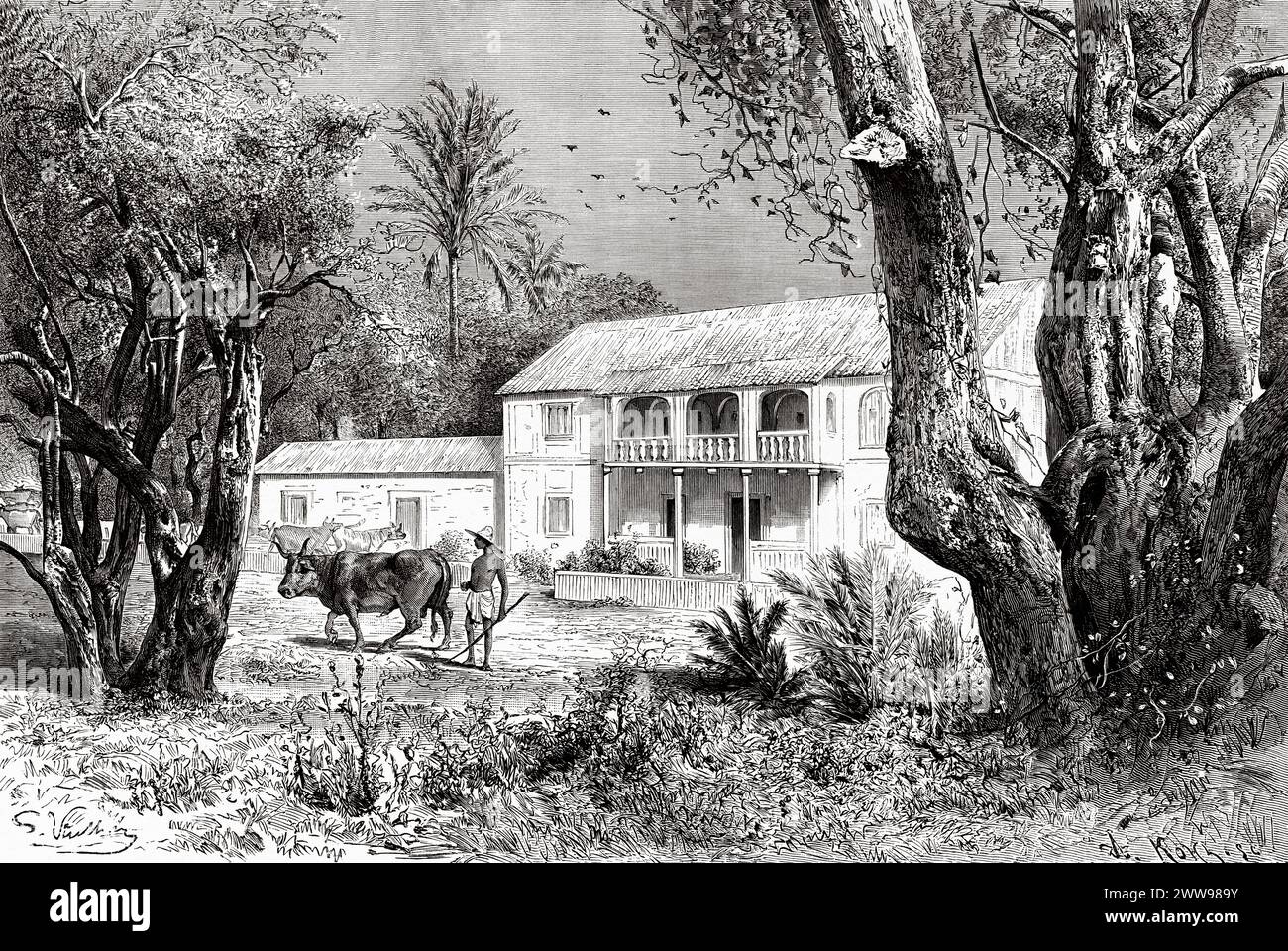 Hacienda de la Constancia, Republic of Panama. Central America. Drawing ...