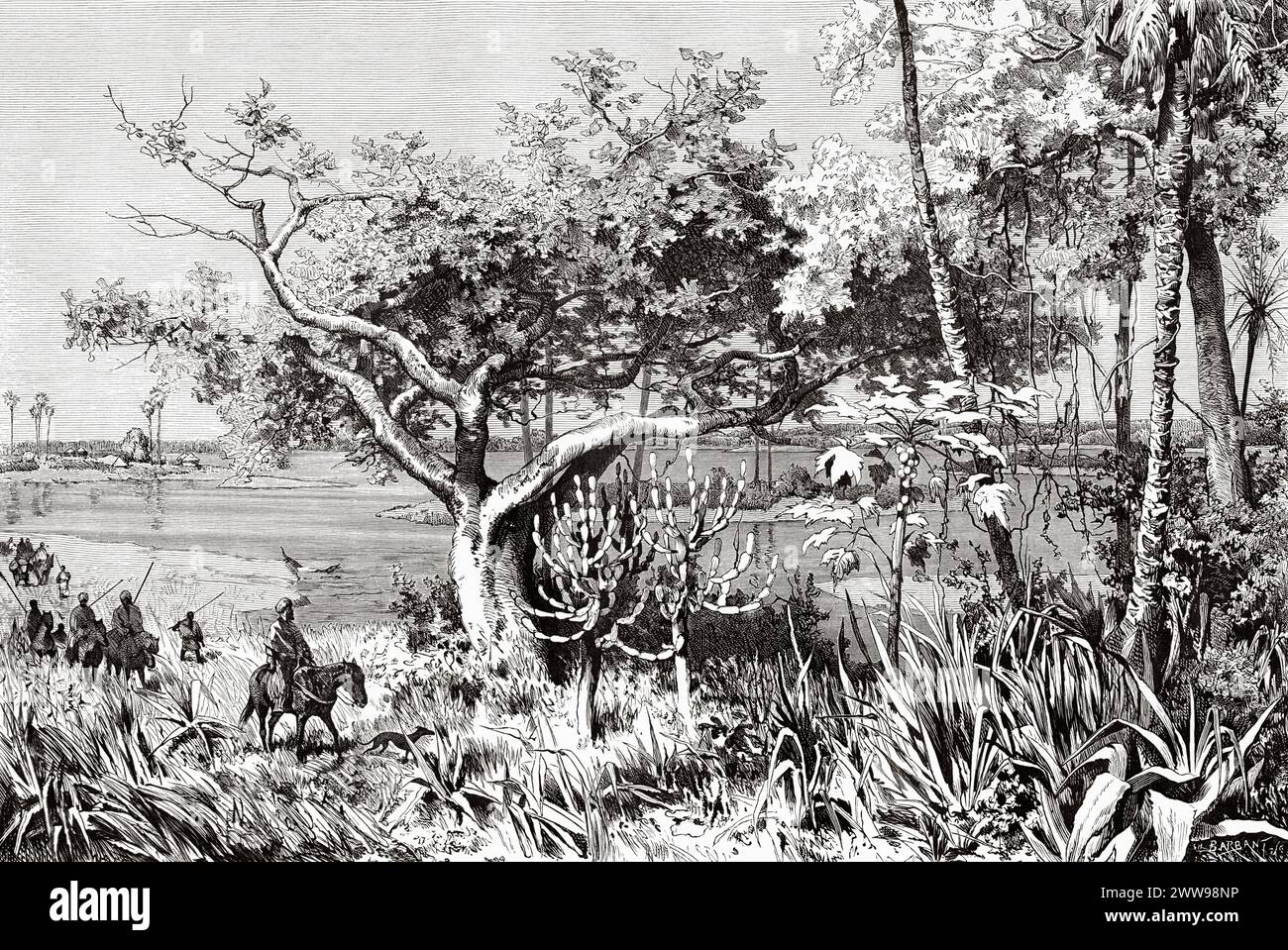 The expedition to the banks of the Chari River, Chad. Central Africa ...