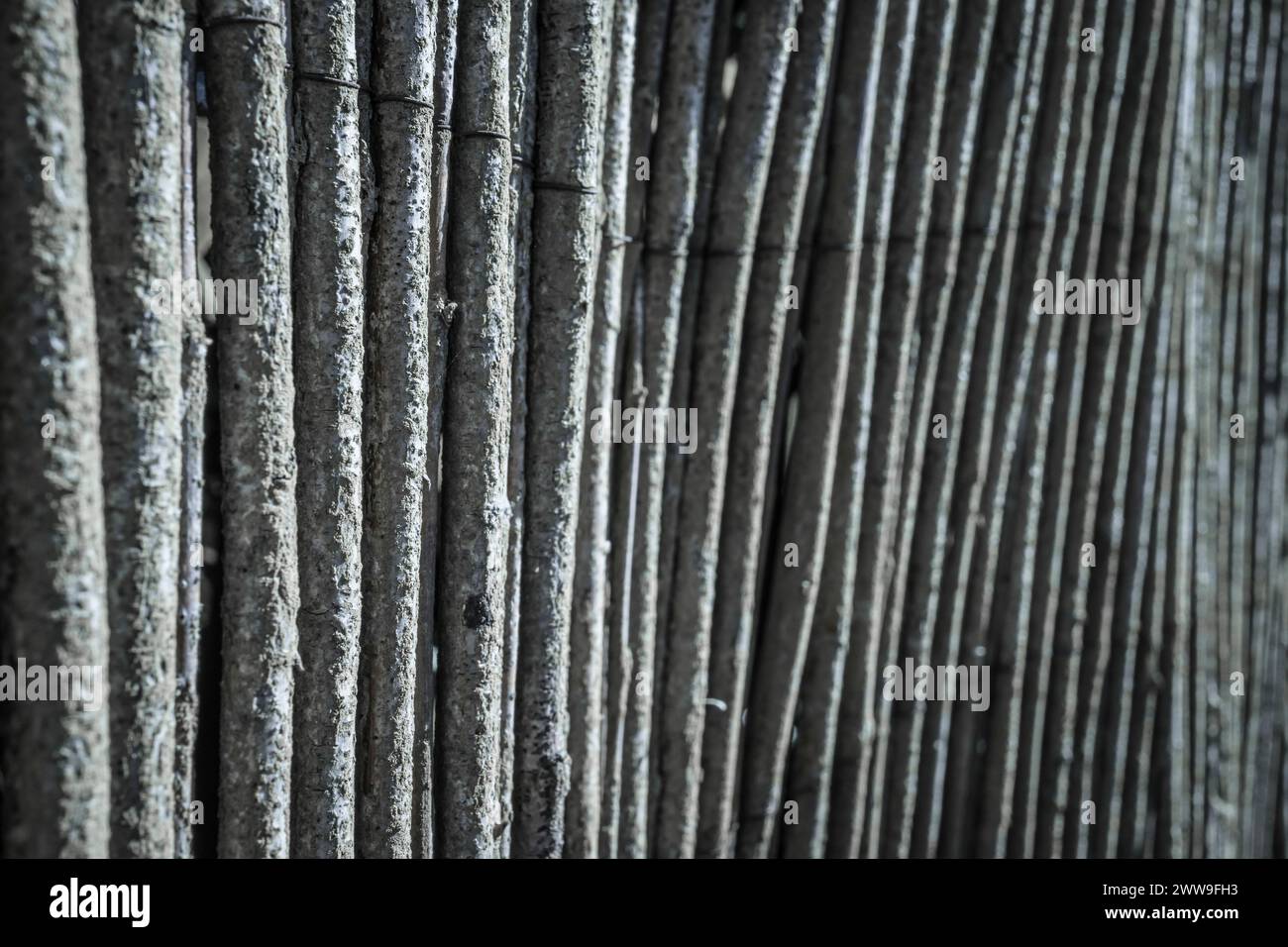 weathered reed fence structure Stock Photo - Alamy