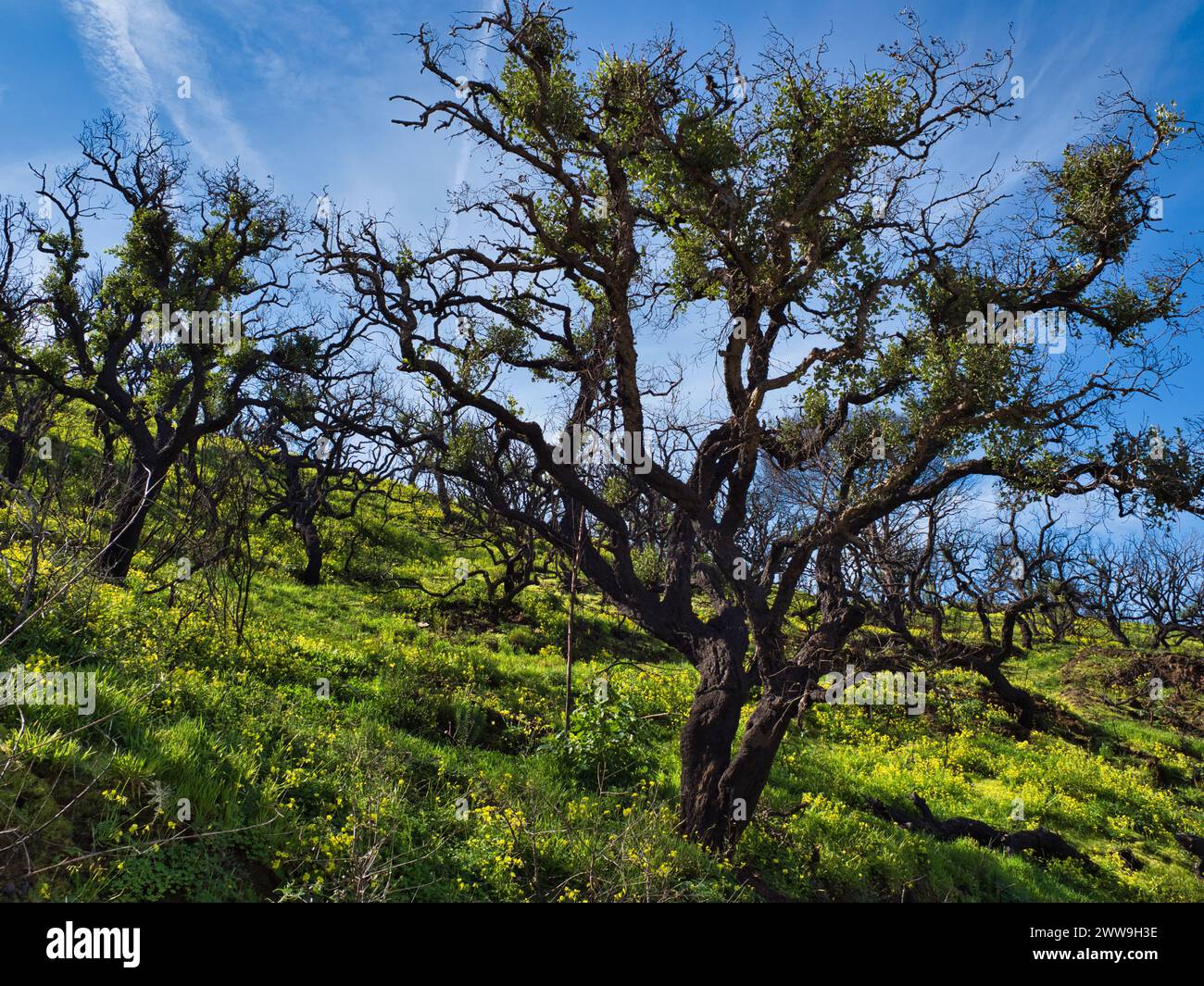 Hillscapes hi-res stock photography and images - Alamy