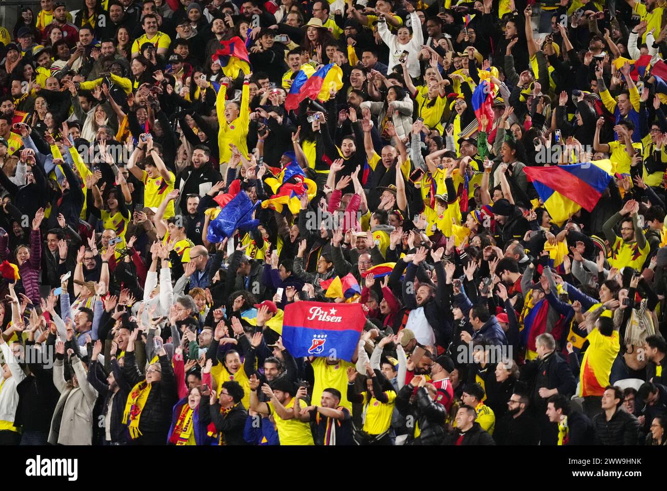 Colombia fans show their support during an international friendly match ...