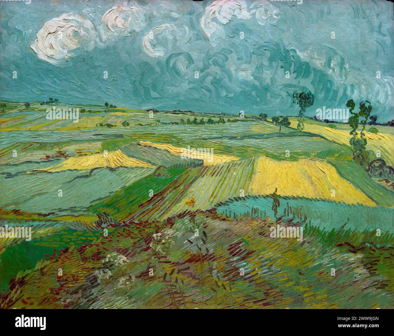Wheat Fields at Auvers Under Clouded Sky Stock Photo - Alamy
