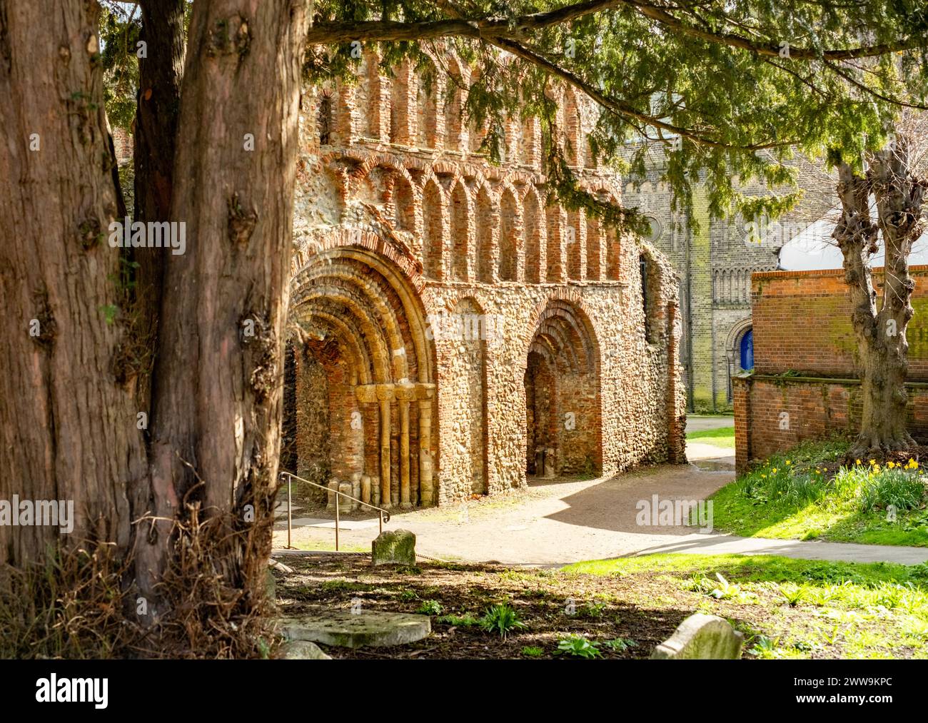 Colchester, Essex, UK – March 18 2024. Historic priory ruins of St ...