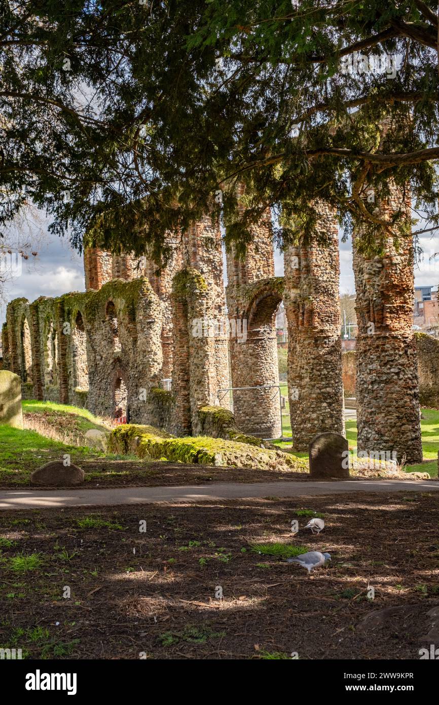 Colchester, Essex, UK – March 18 2024. Historic priory ruins of St ...