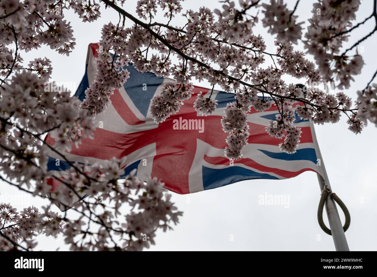 National flag of the United Kingdom is the Union Jack, also known as ...