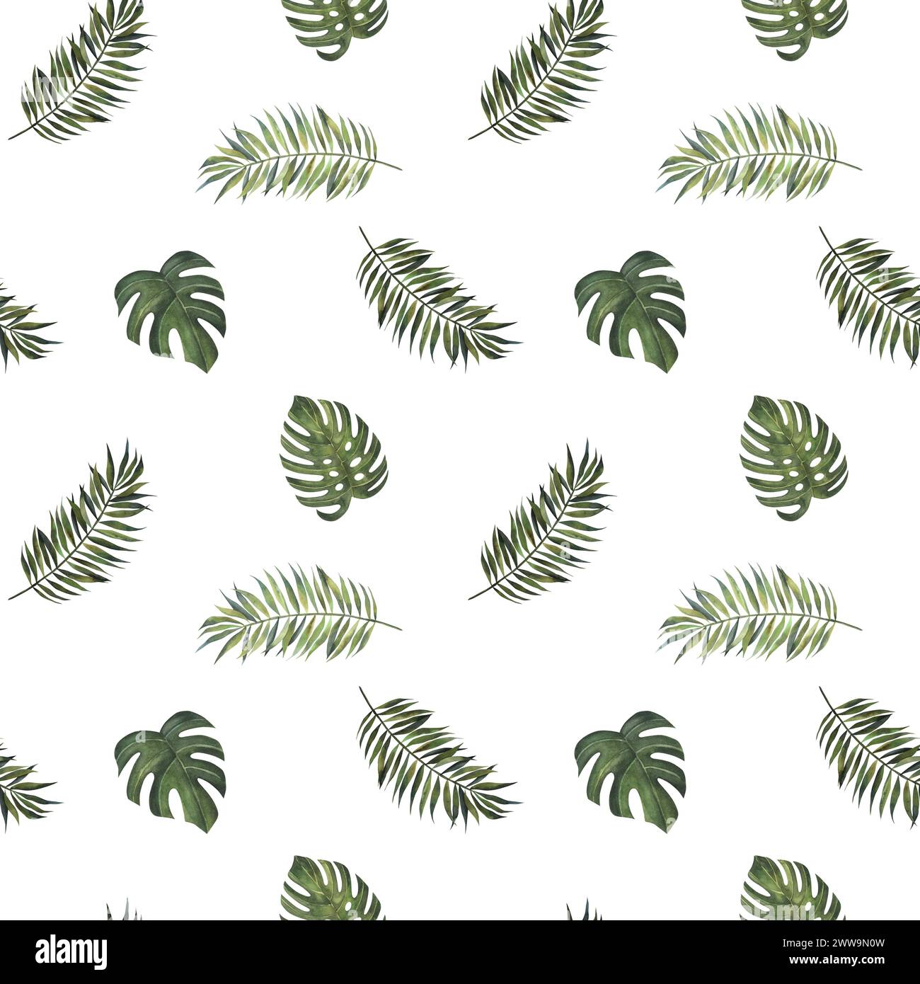 Tropical leaves. Monstera, strelitzia, palms. Watercolor seamless ...