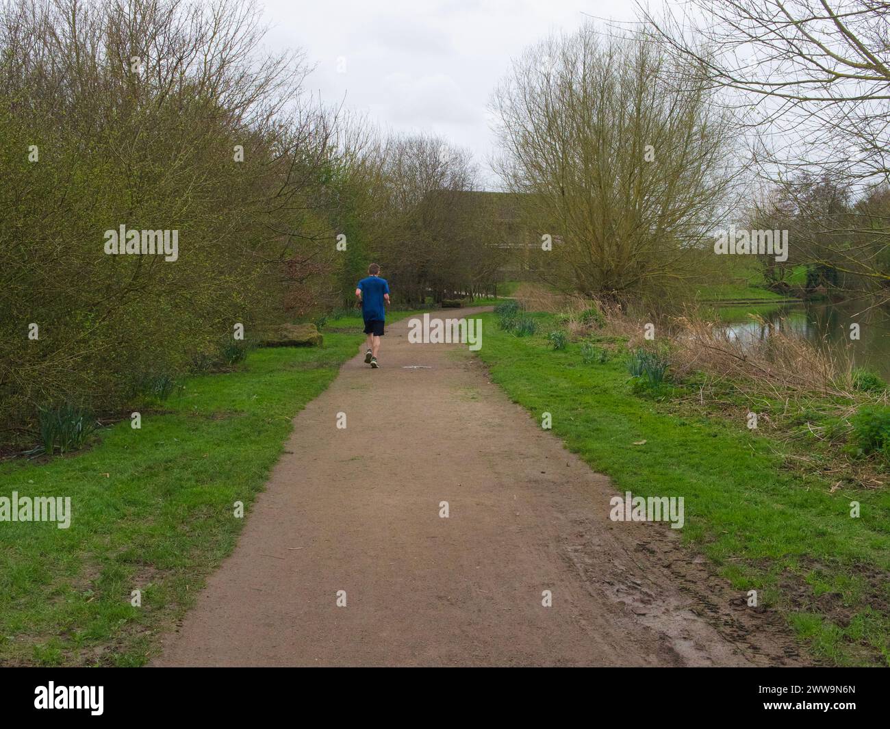 Man running in the park Stock Photo - Alamy