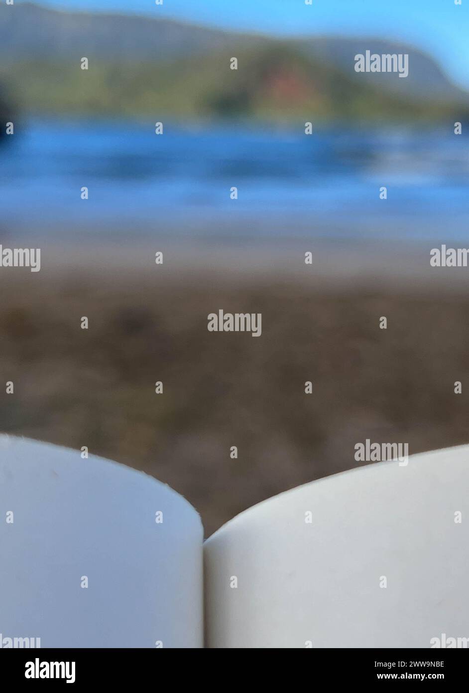 Book and beach hi-res stock photography and images - Alamy