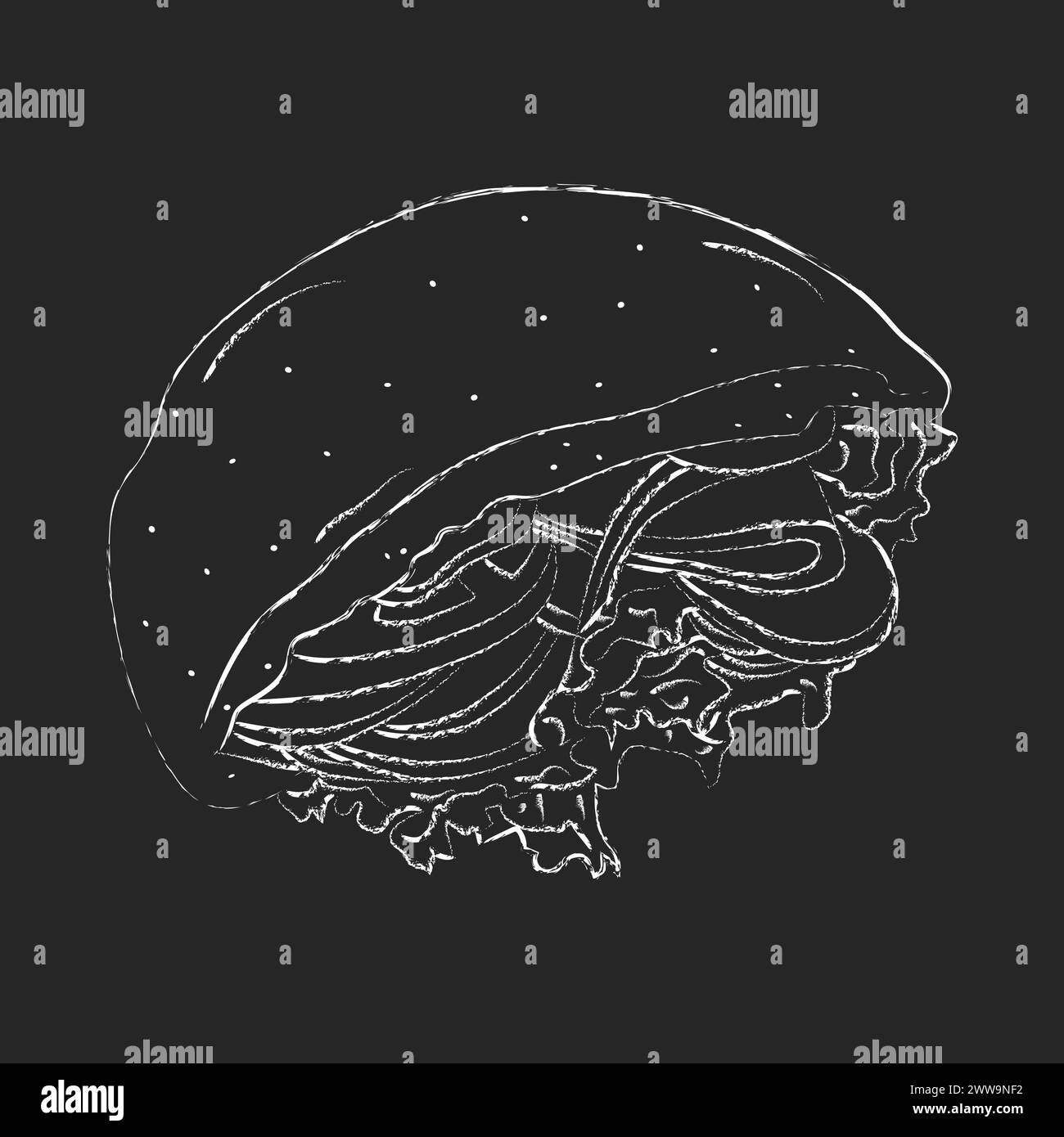 Hand drawn pita white outline chalkboard, isolated on the black ...